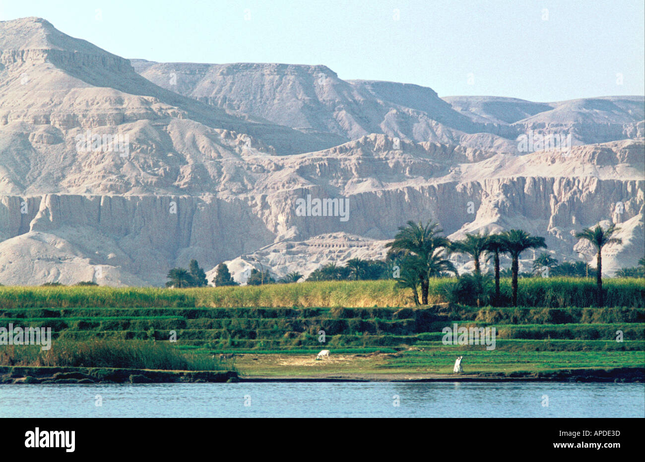 Ancient Nile River Valley