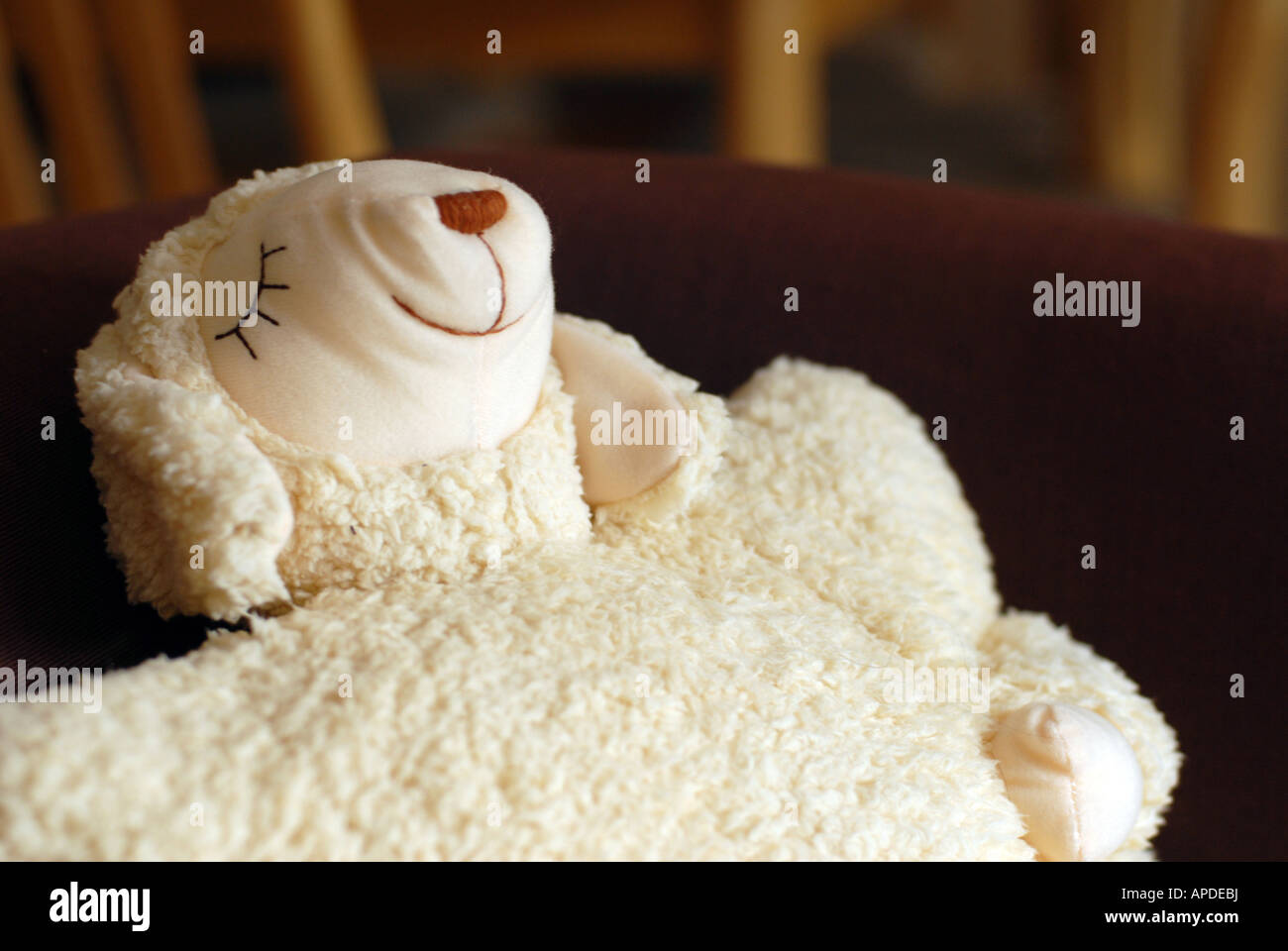 a teddy bear sheep Stock Photo - Alamy