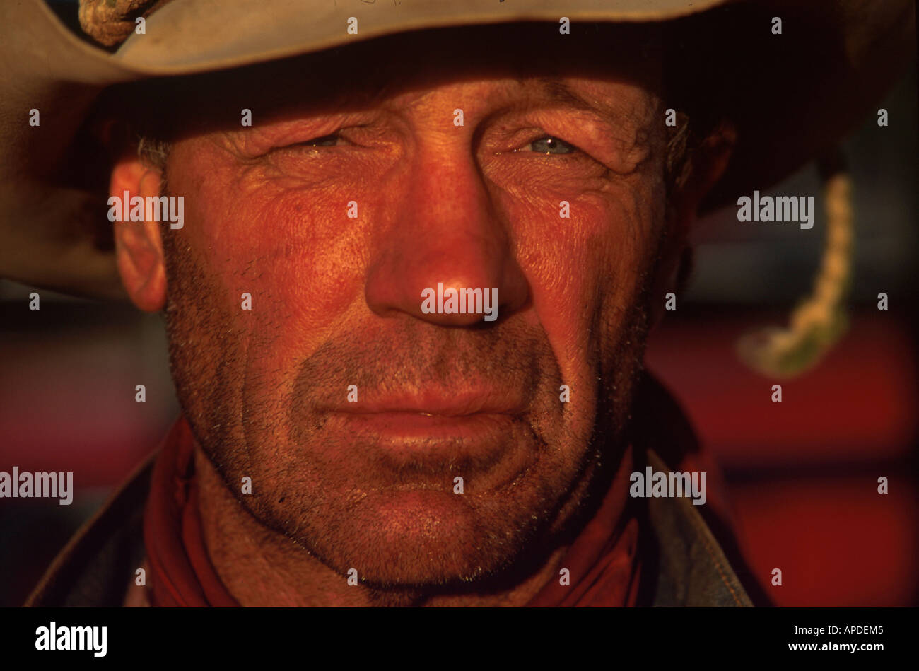 Cowboy, Portrait, USA not released Stock Photo - Alamy