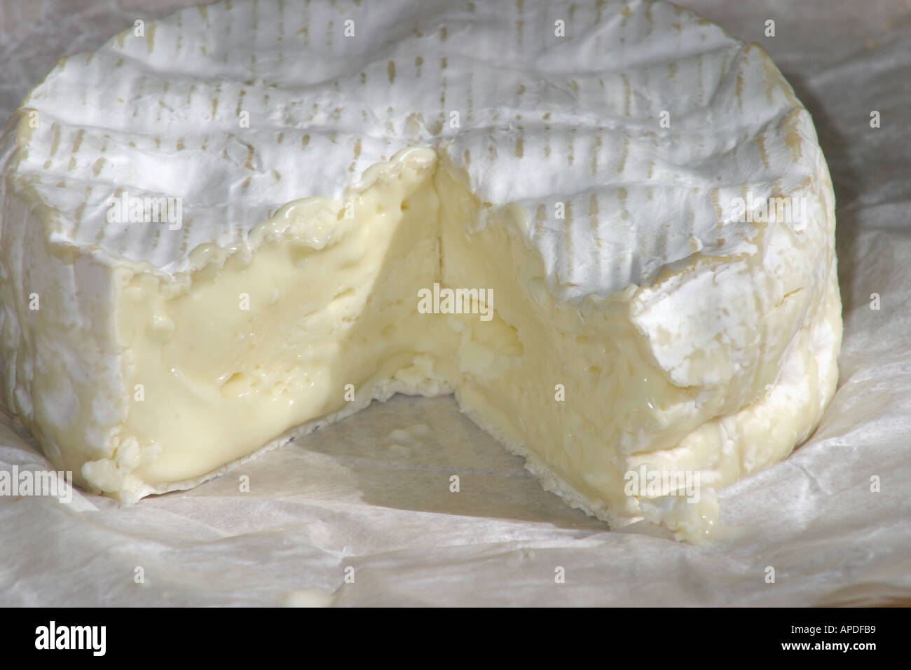 Small Camembert cheese unboxed and cut in rustic setting Stock Photo ...