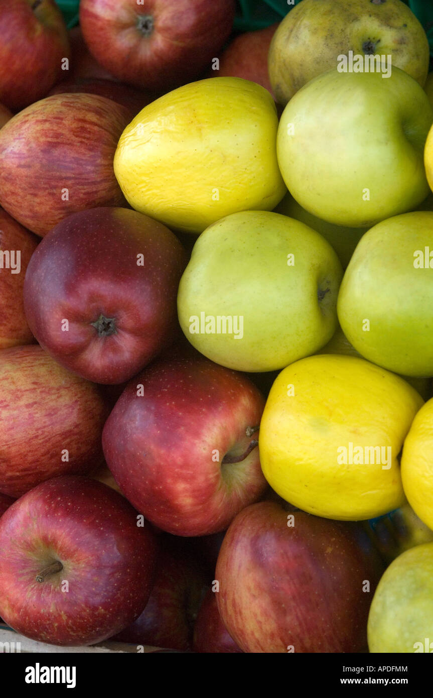 apples the fruit is now available all year round with air fright and ...