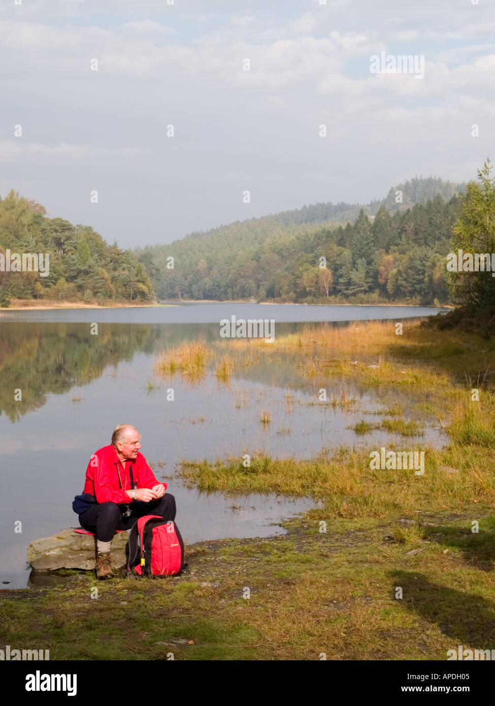RAMBLER RELAXING by LLYN Y PARC Snowdonia National Park North Wales UK ...