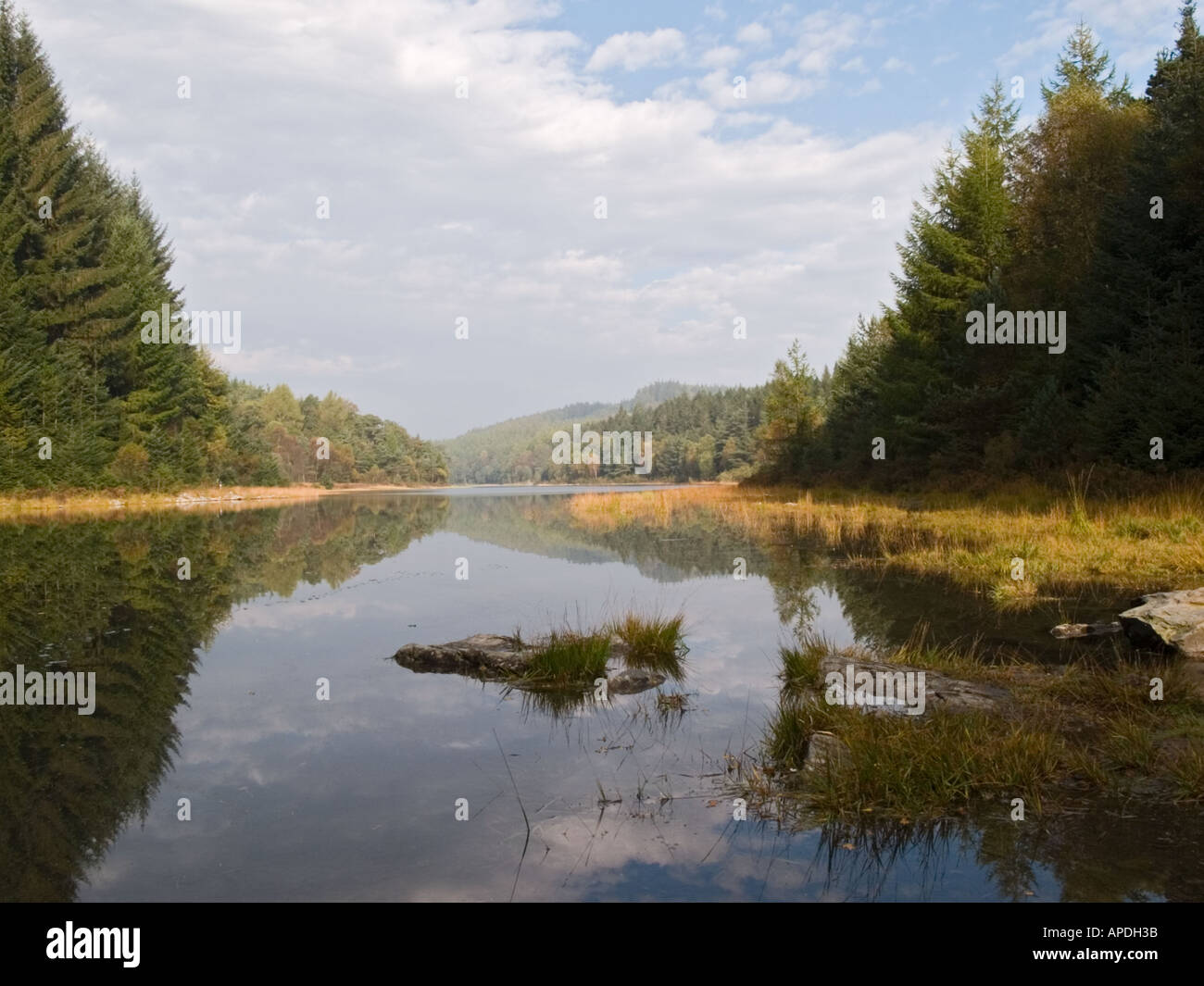 Llyn y parc hi-res stock photography and images - Alamy