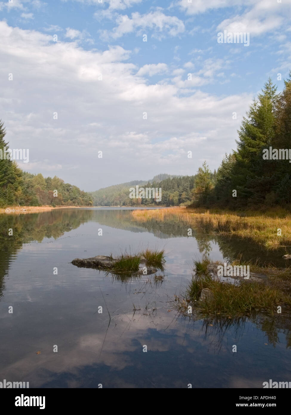 Llyn Parc High Resolution Stock Photography and Images - Alamy