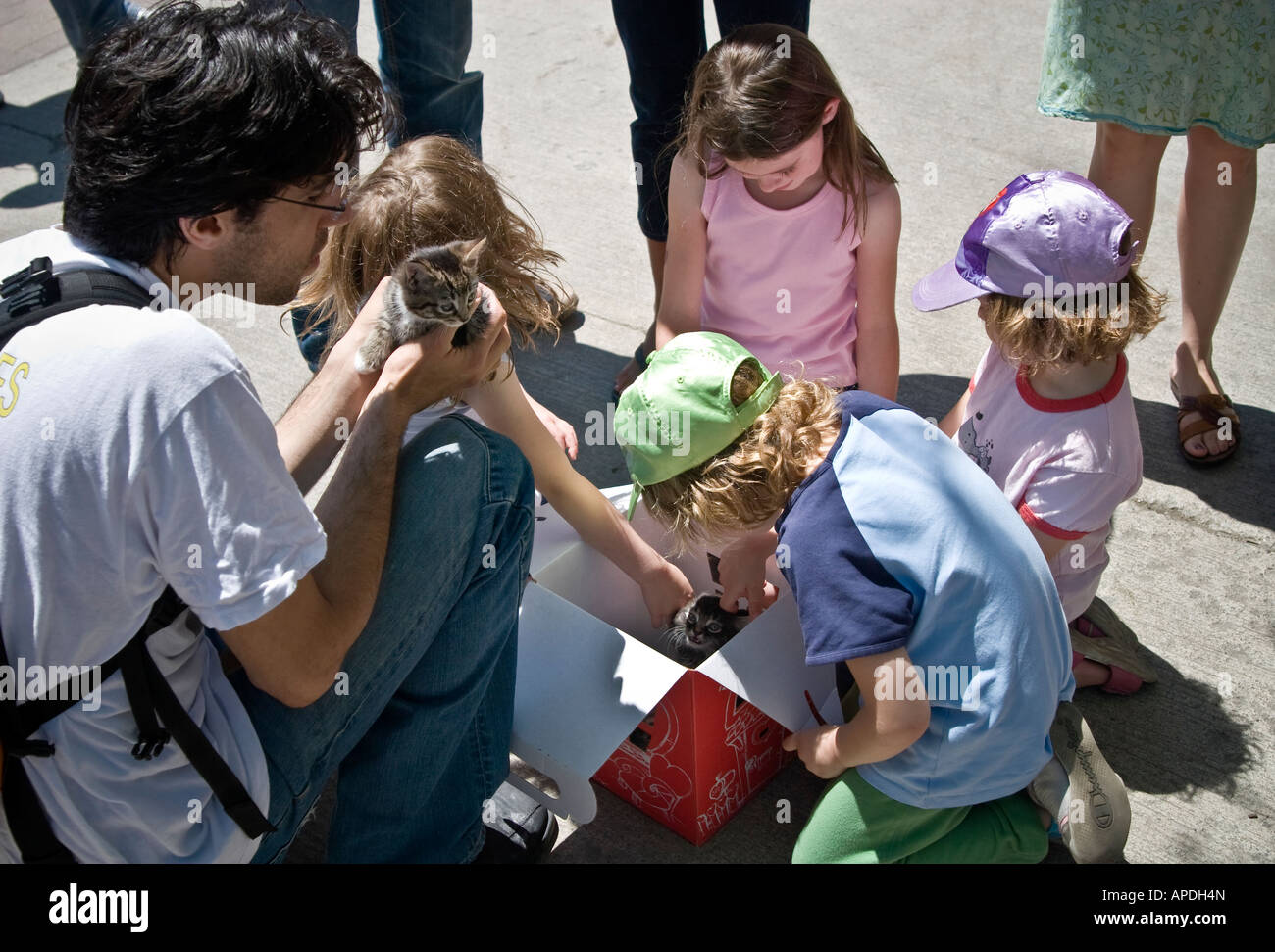 Kittens with children hi-res stock photography and images - Alamy