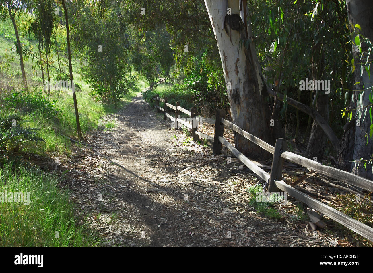 countryside path CA Stock Photo - Alamy