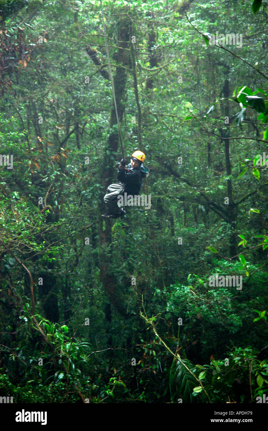 swinging through the rain forest Costa Rica Stock Photo - Alamy