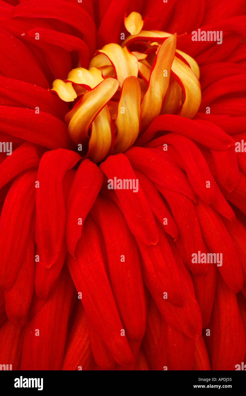 Huge Vases High Resolution Stock Photography and Images - Alamy