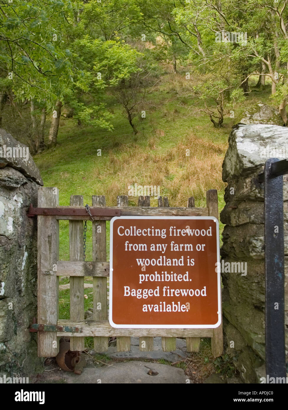 Collecting firewood uk hi-res stock photography and images - Alamy