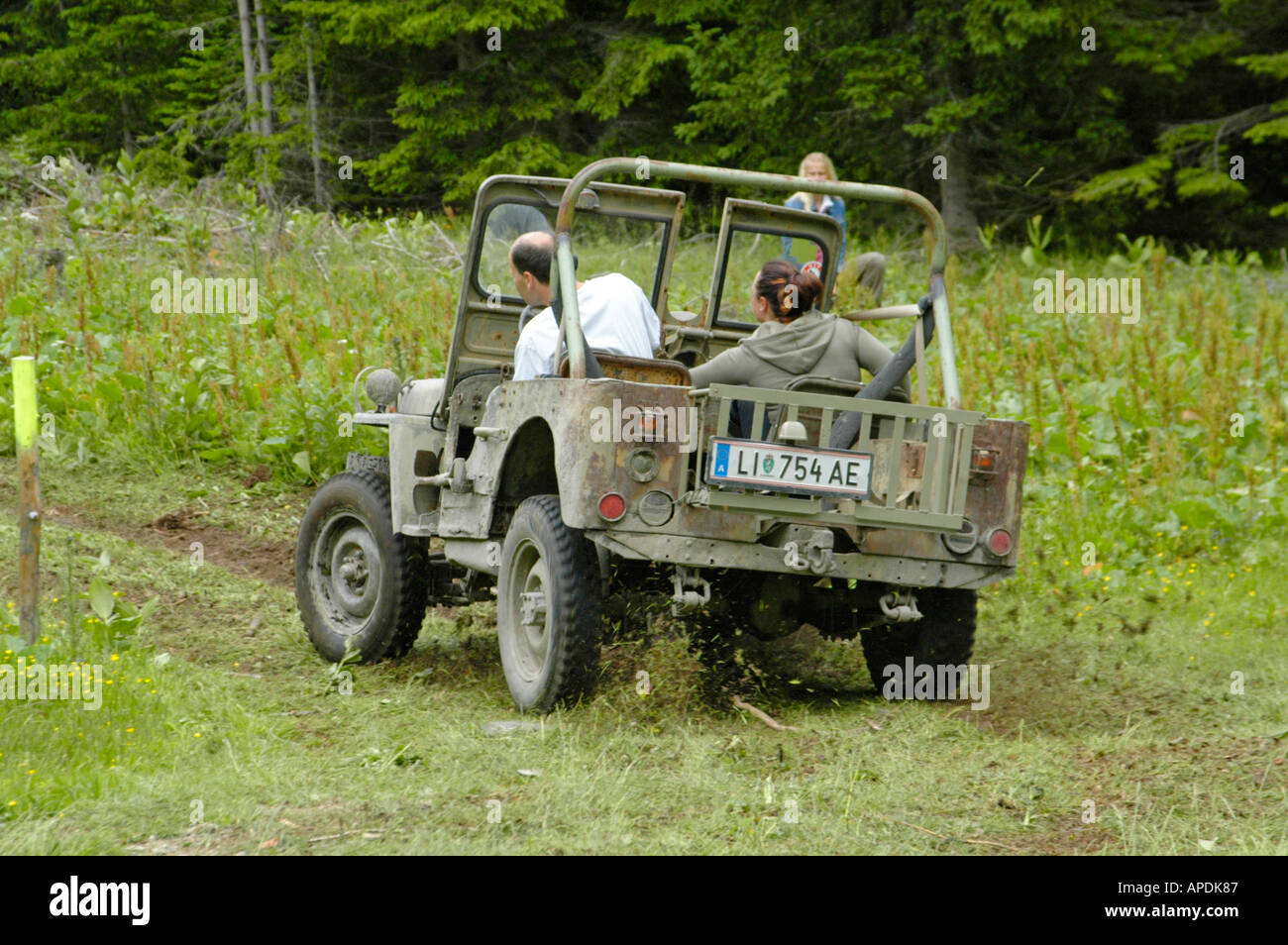Having fun off roading a Willys Jeep Stock Photo - Alamy
