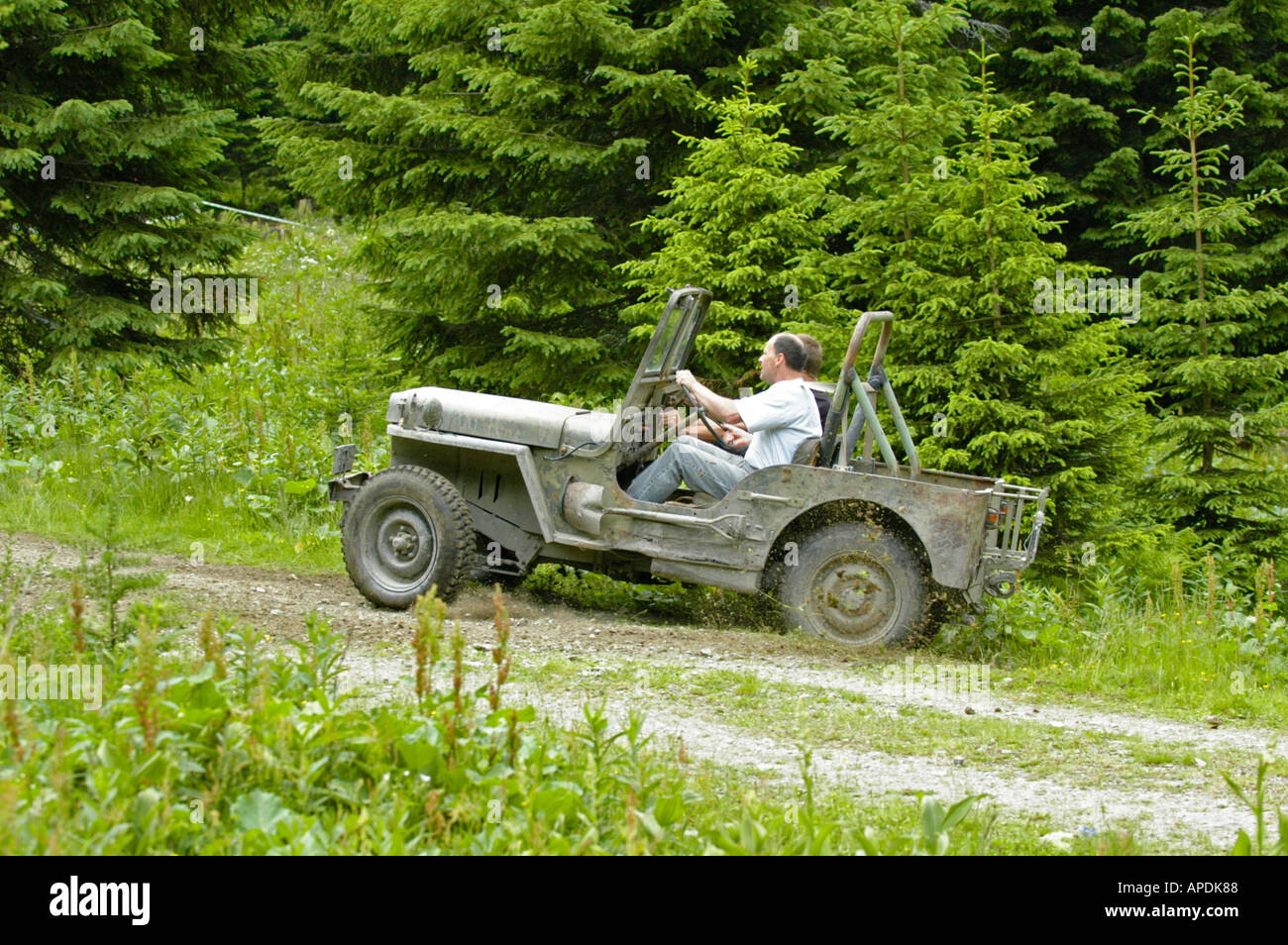 Having fun off roading a Willys Jeep Stock Photo - Alamy