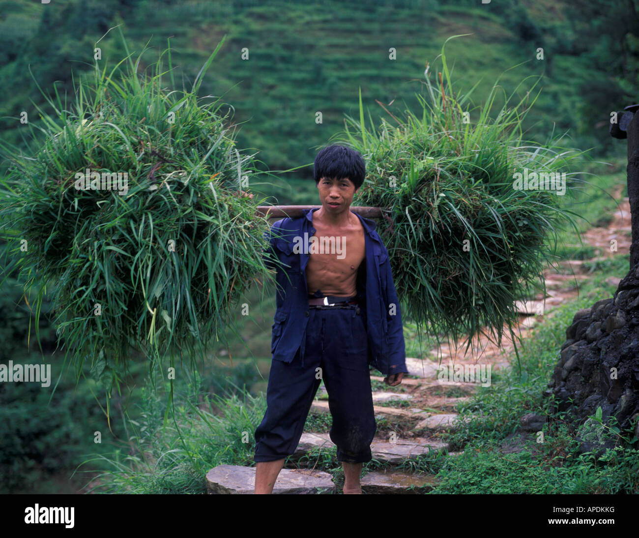 Peasant man hi-res stock photography and images - Alamy
