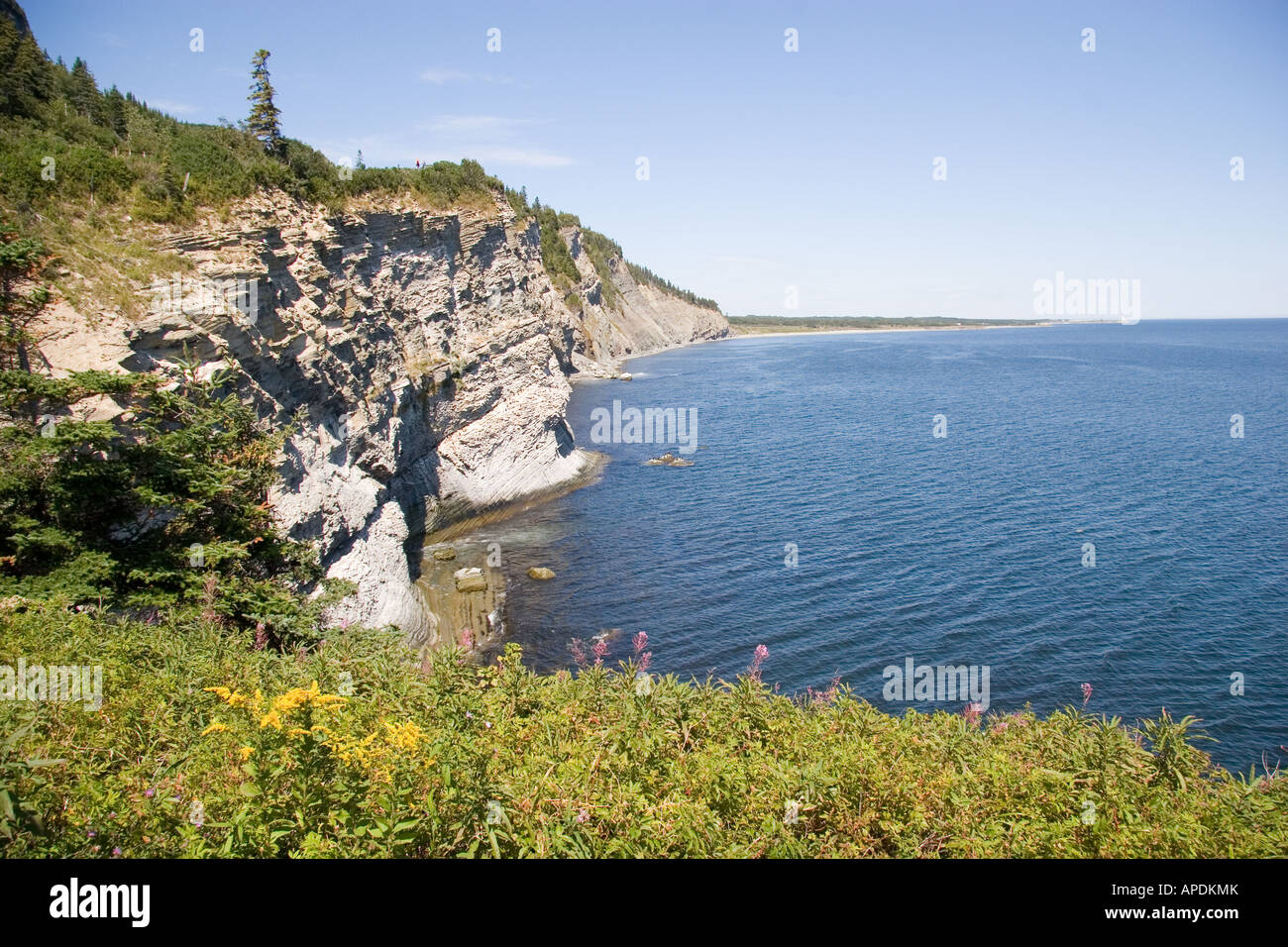 A view of the coastline of the Gaspe Peninsula in summer Stock Photo ...