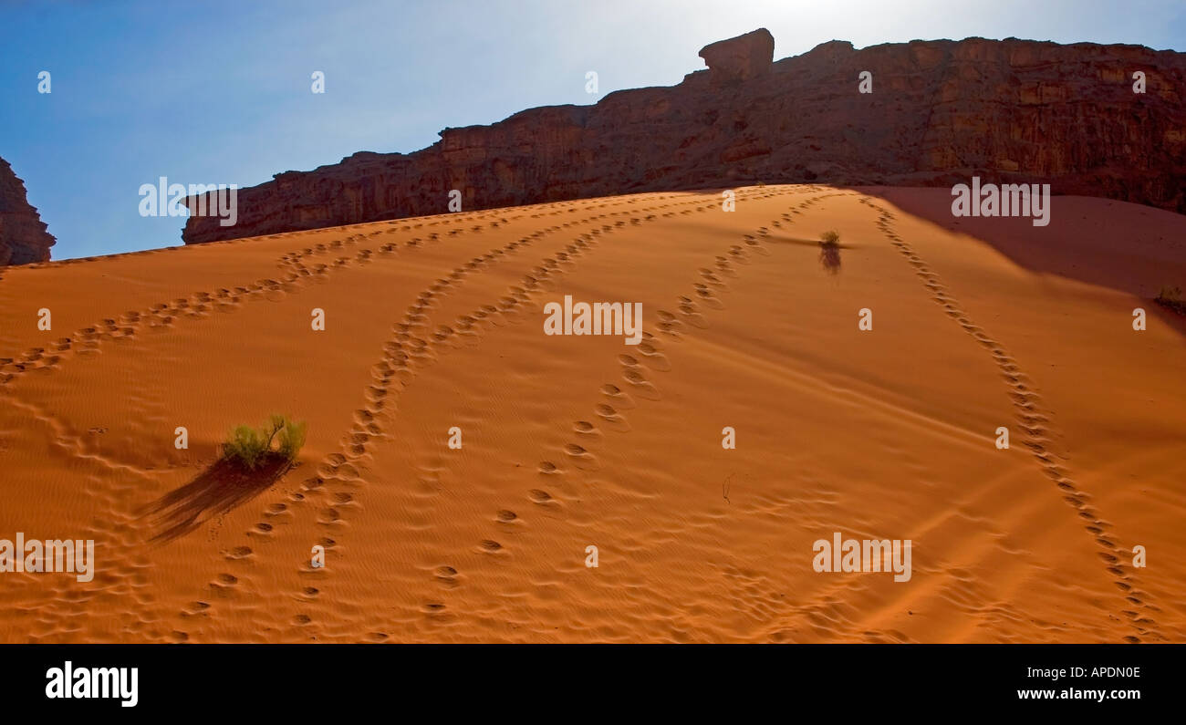 Arabic with footprints hi-res stock photography and images - Alamy