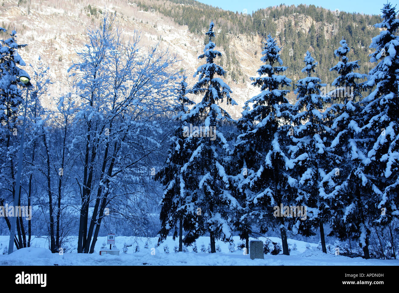 winter scene at european alps Stock Photo - Alamy