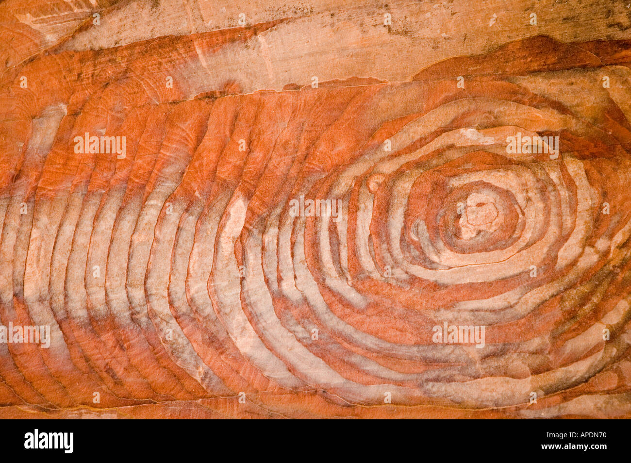 Spectacular coloured, color texture, layers and stripes, Petra ...