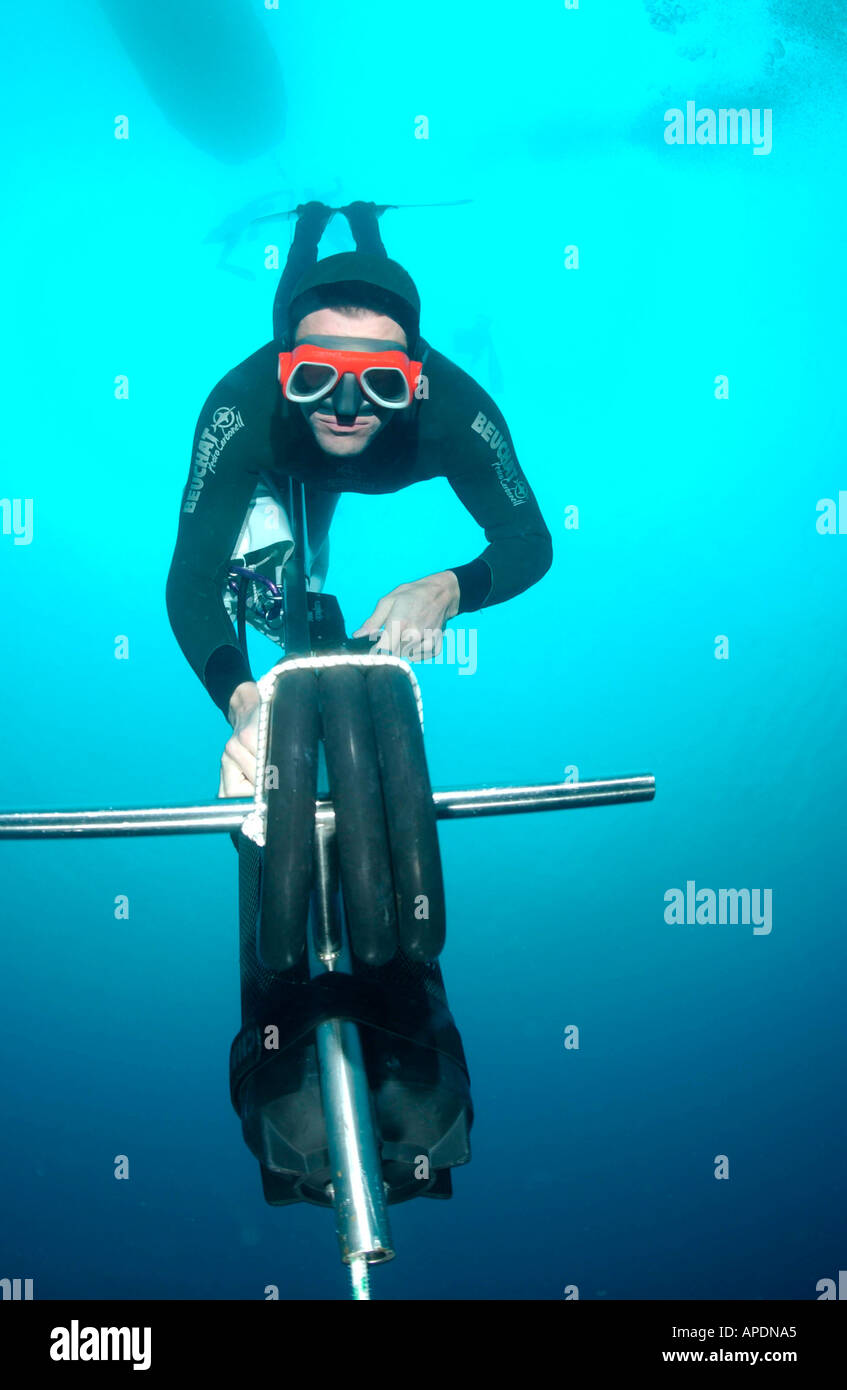 No limits freediving hi-res stock photography and images - Alamy