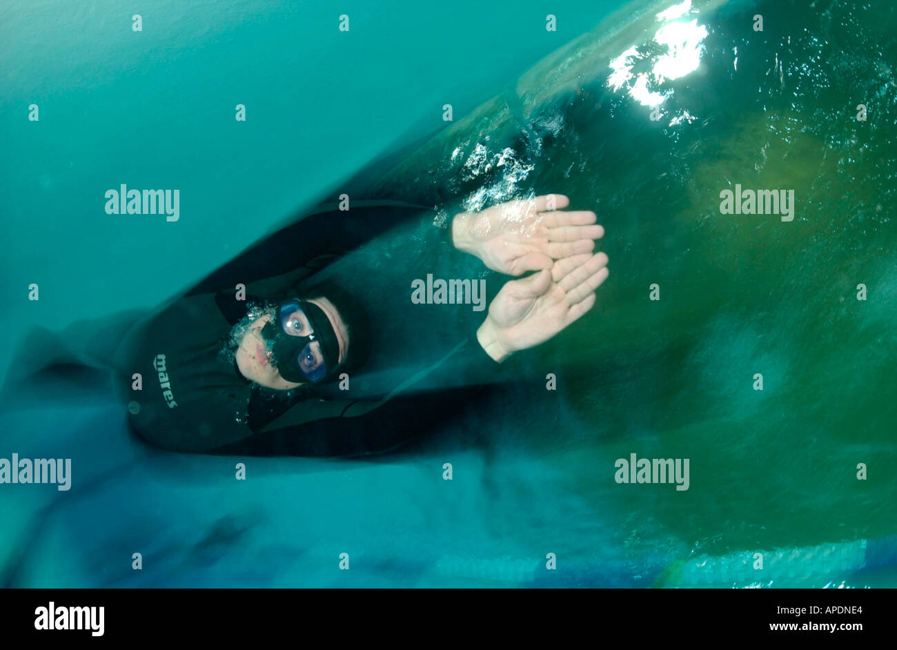 Pool watch wet hi-res stock photography and images - Alamy