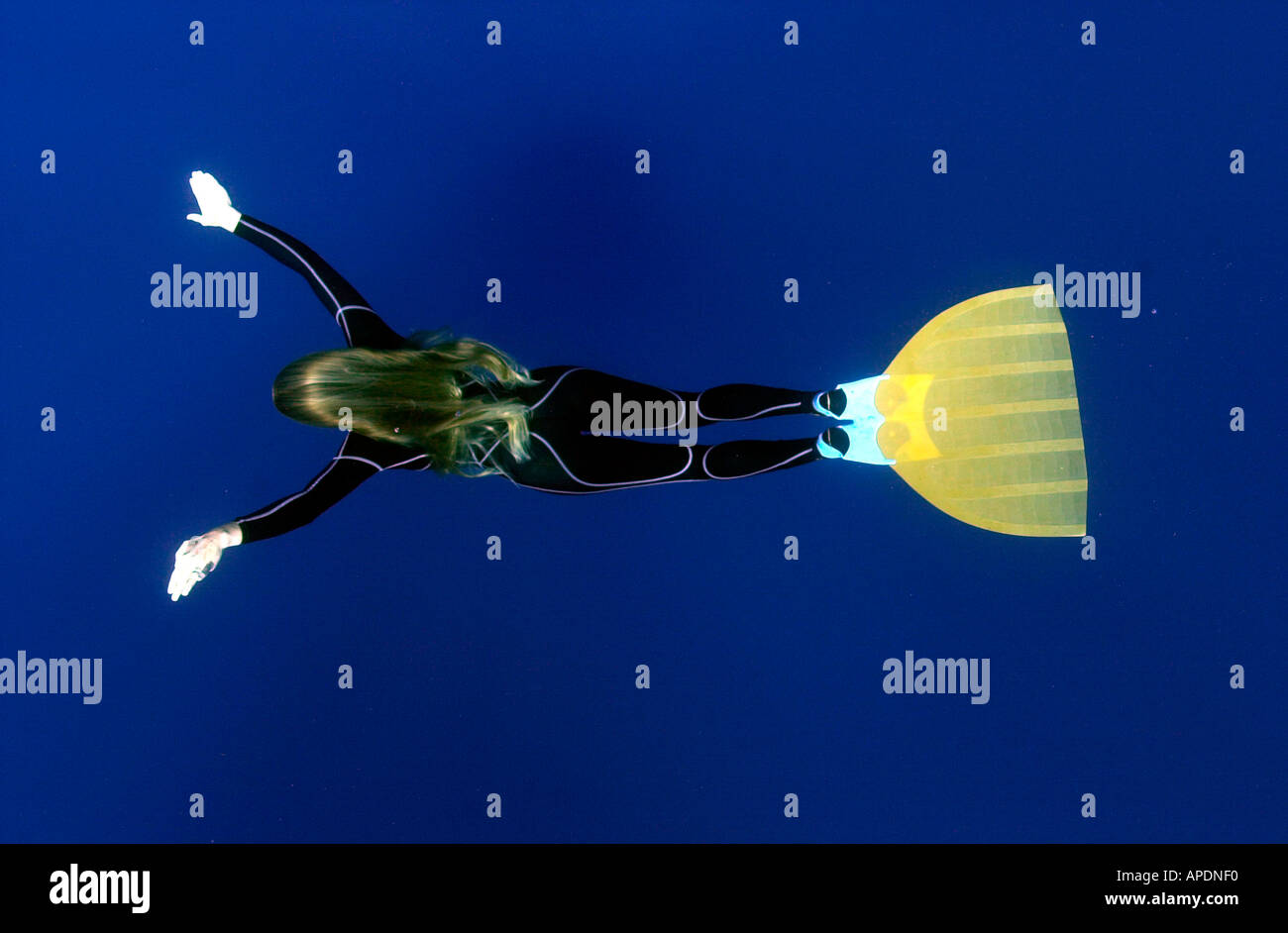 Tanya Streeter diving in the Turks Caicos Islands 2002 Stock Photo - Alamy