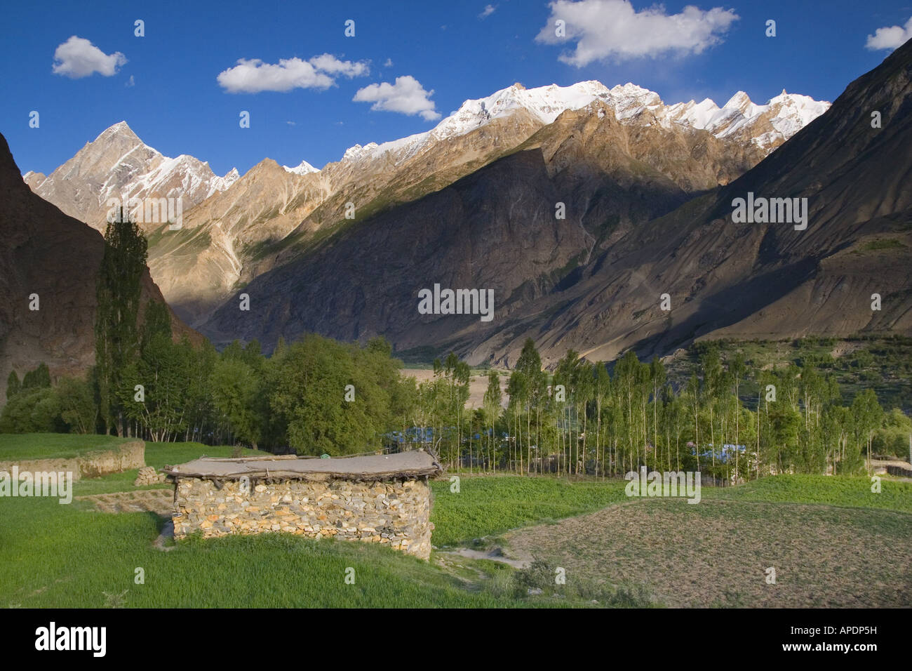Fields in the village of Askole in Baltistan in Pakistan Stock Photo ...