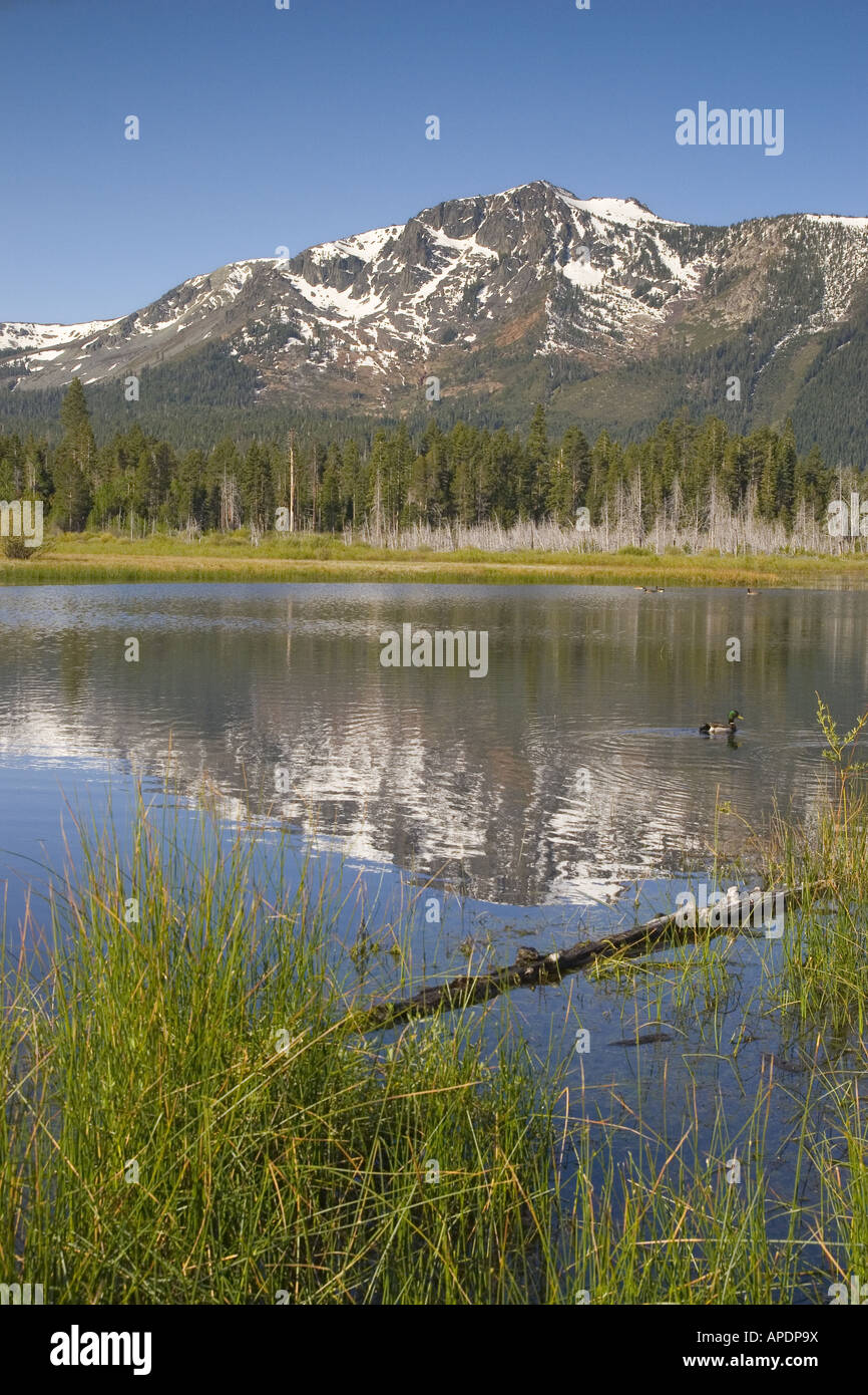 Mount tallac hi-res stock photography and images - Alamy