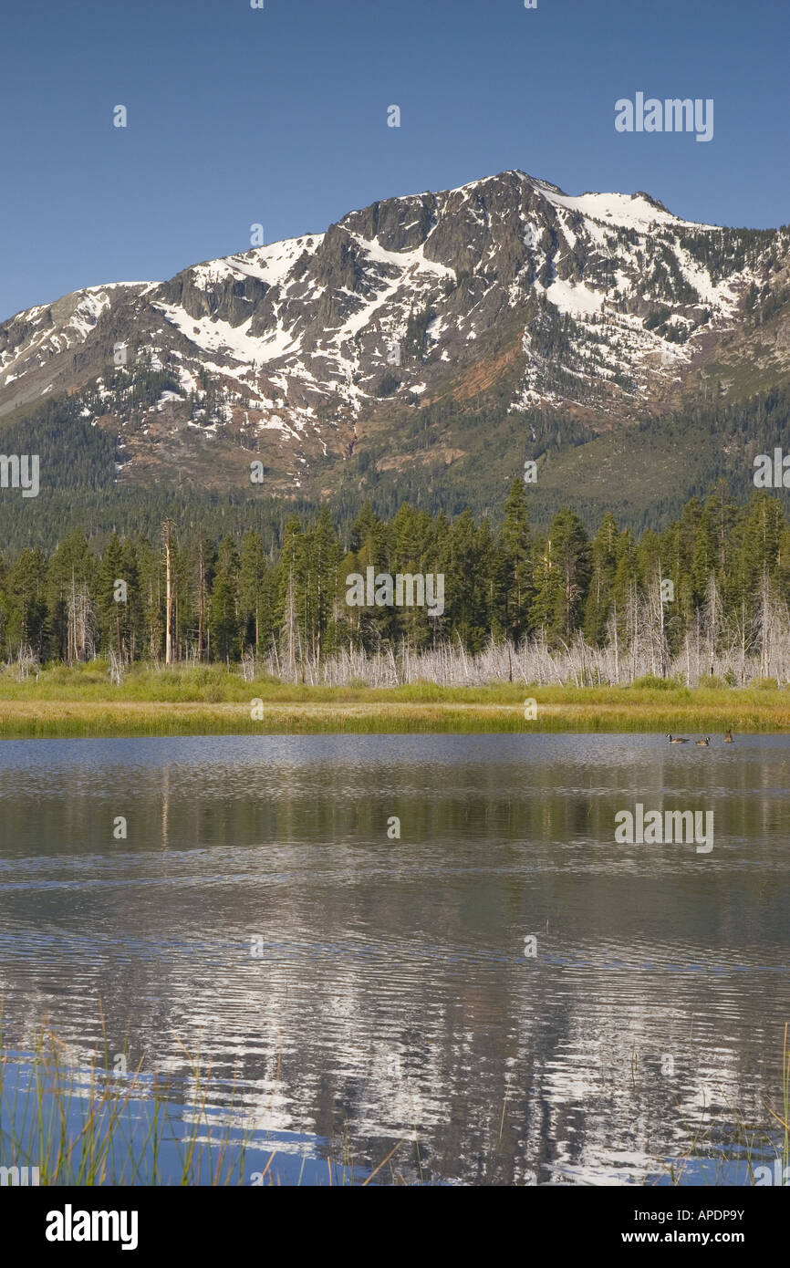 A snowy Mount Tallac in a reflecting pool near Lake Tahoe in California ...