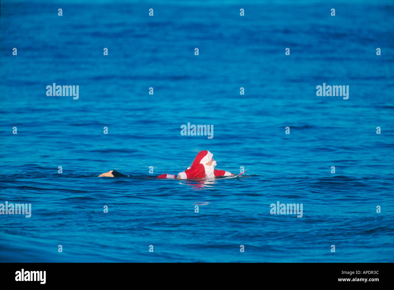 Surfing Santa, paddling board in sea, Gabe Davies, Hawaii, USA Stock ...