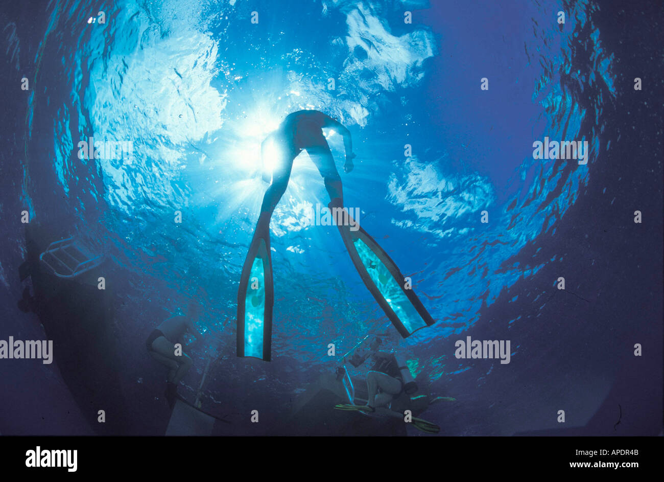 Tanya streeter hi-res stock photography and images - Alamy