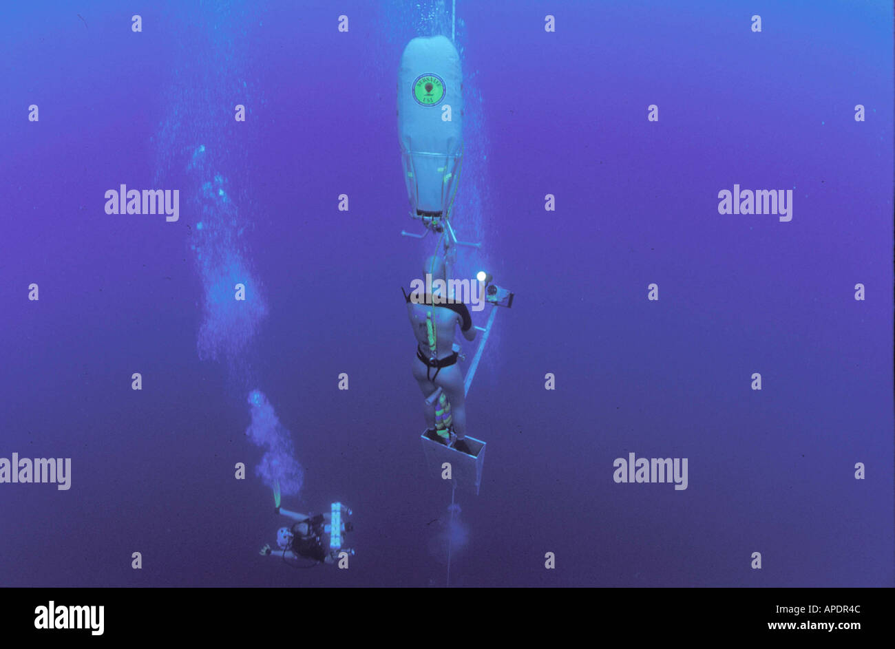 Tanya streeter hi-res stock photography and images - Alamy