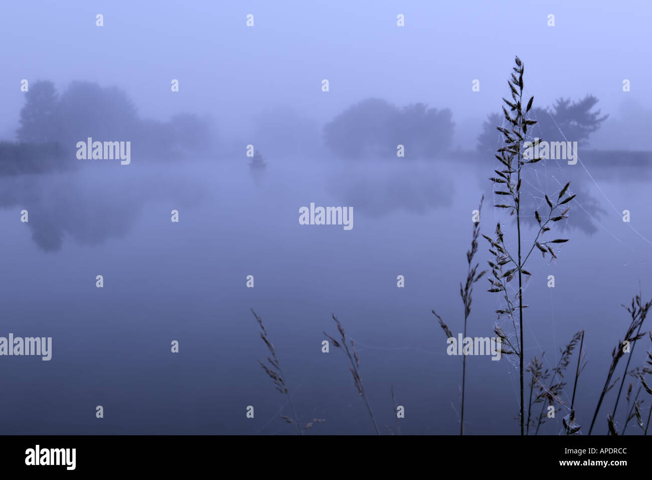 Early blue fog hi-res stock photography and images - Alamy