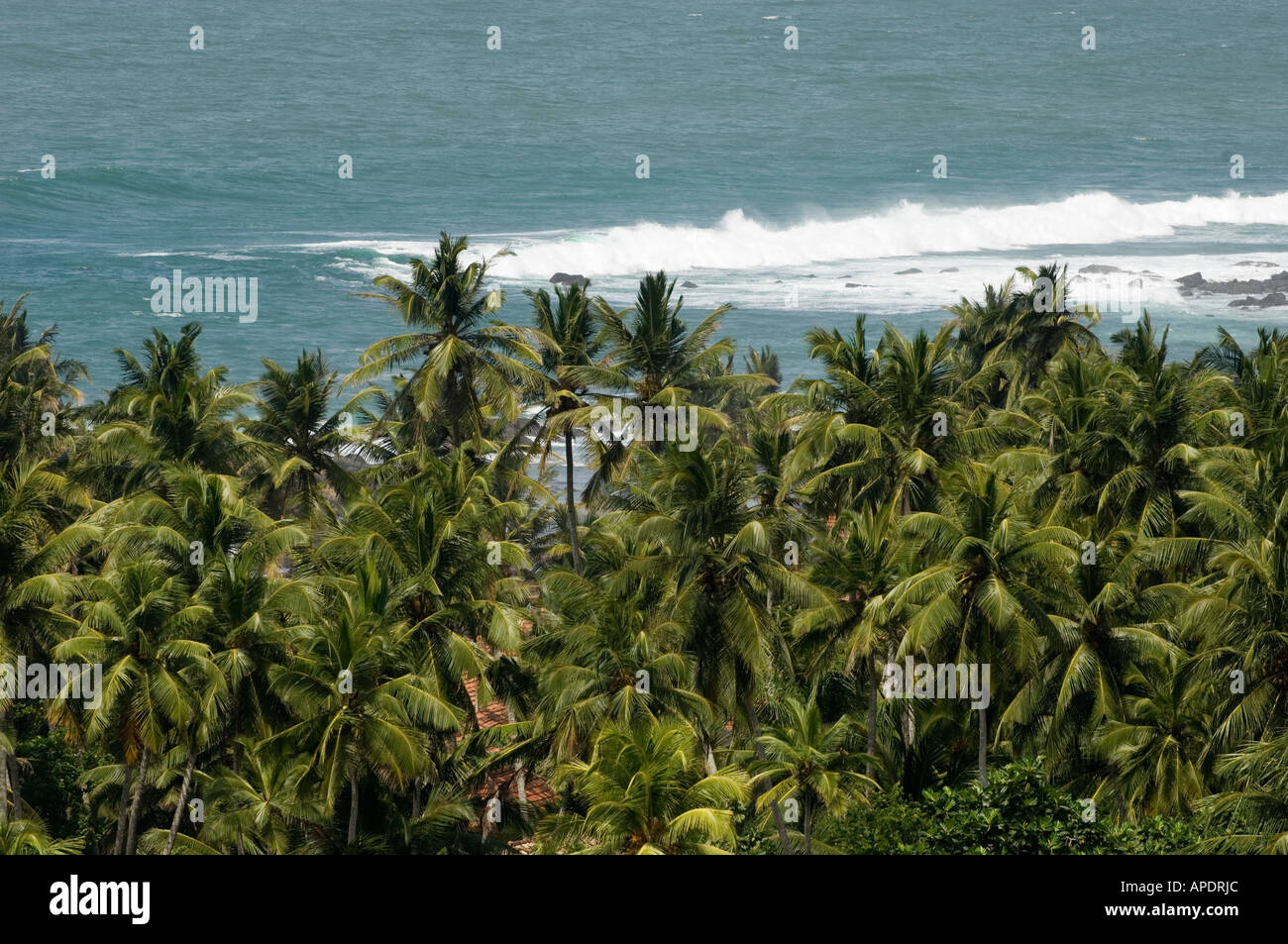 View of south coast from Dondra lighthouse. South coast Sri Lanka ©Mark ...
