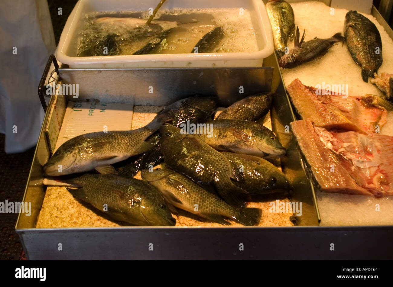 Fish shop in Chinatown in San Francisco fish fillet ice pan fresh Stock ...