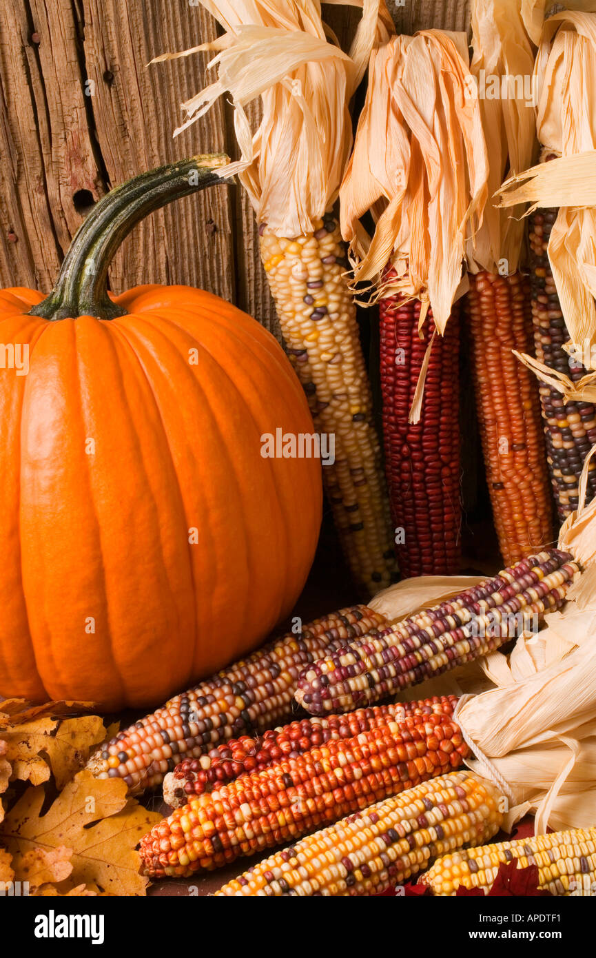Pumpkin ideas hi-res stock photography and images - Alamy
