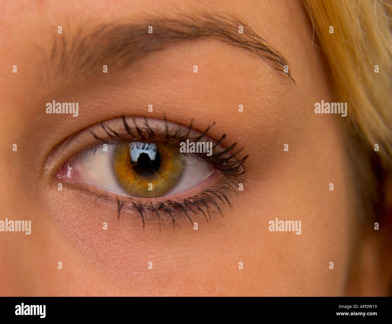 Woman s eye Stock Photo - Alamy