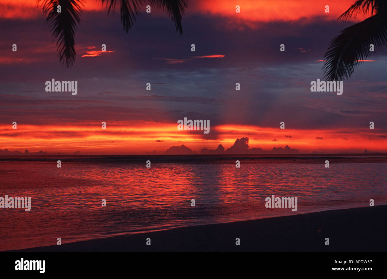Cookislands05008 hi-res stock photography and images - Alamy