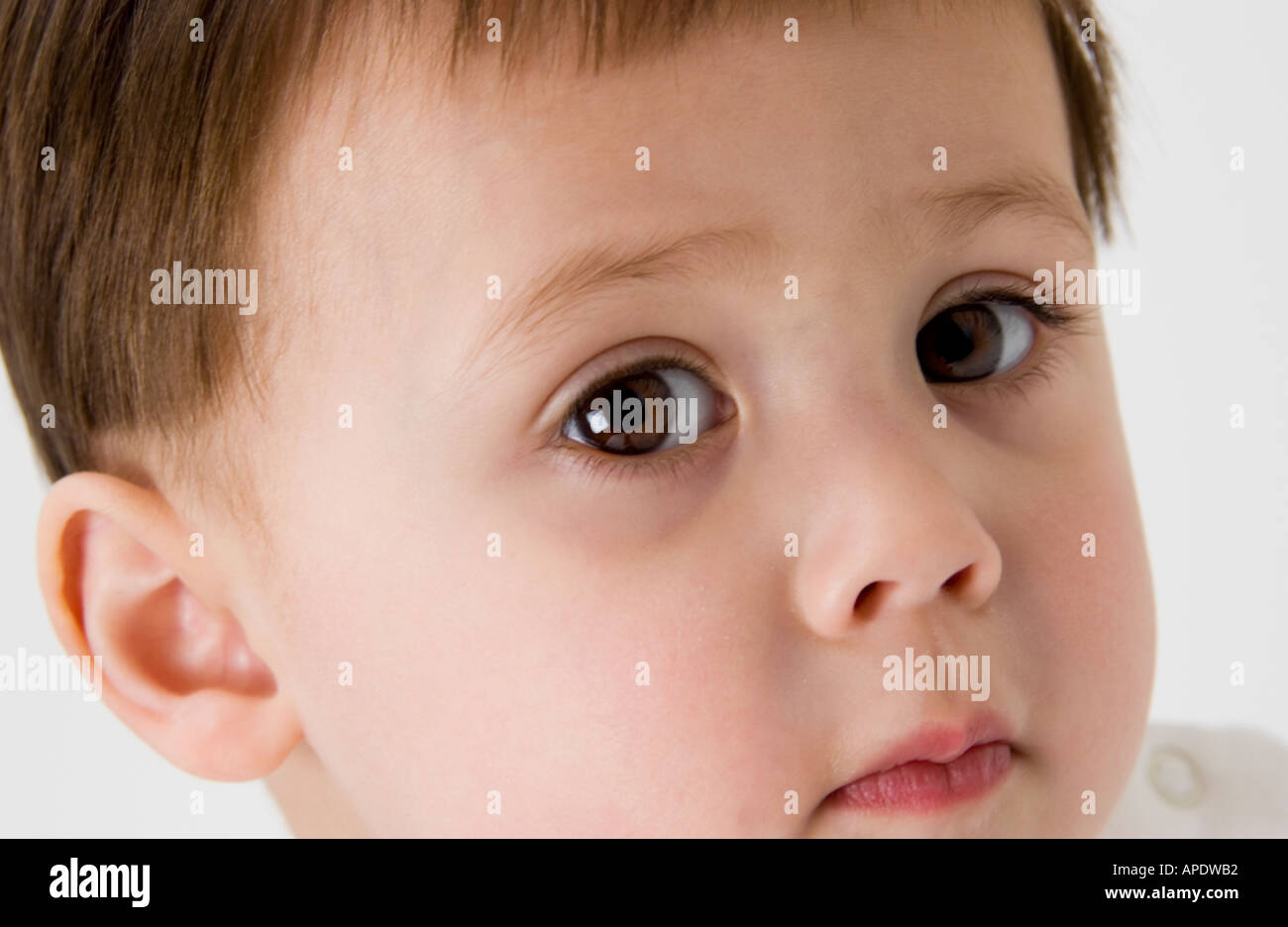Portrait of boy Stock Photo - Alamy