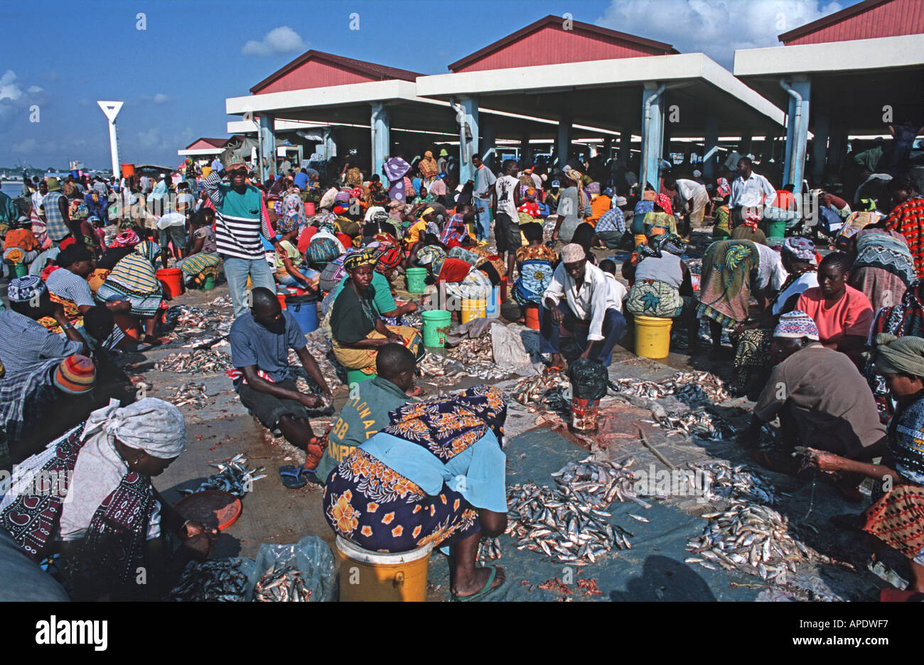 Tanzanian traders at the fish market on the waterfront at Dar es Salaam ...