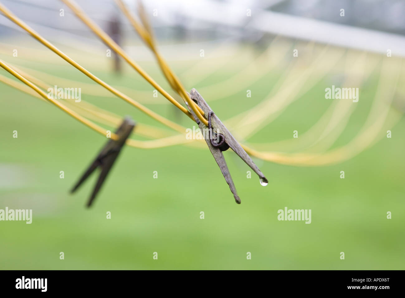 Wet clothes pins on clothes lines Stock Photo - Alamy