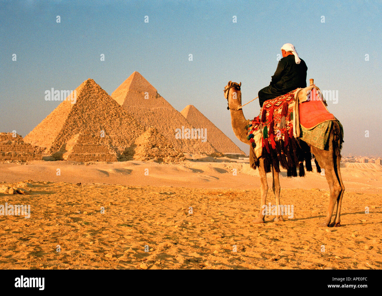 Egypt Cario The Great Pyramids of Giza Stock Photo - Alamy