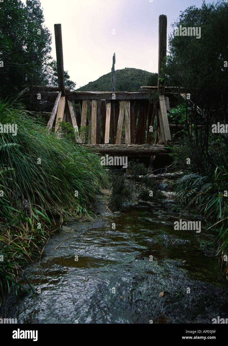 Kauri Log Dam, New Zealand Stock Photo - Alamy