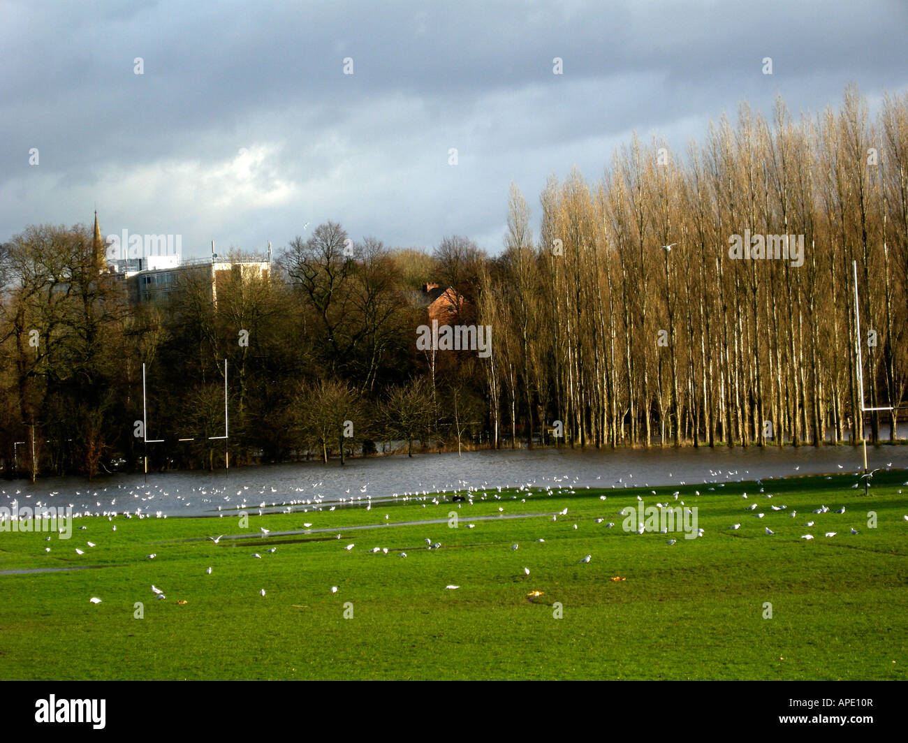 flooded rugby field Stock Photo - Alamy