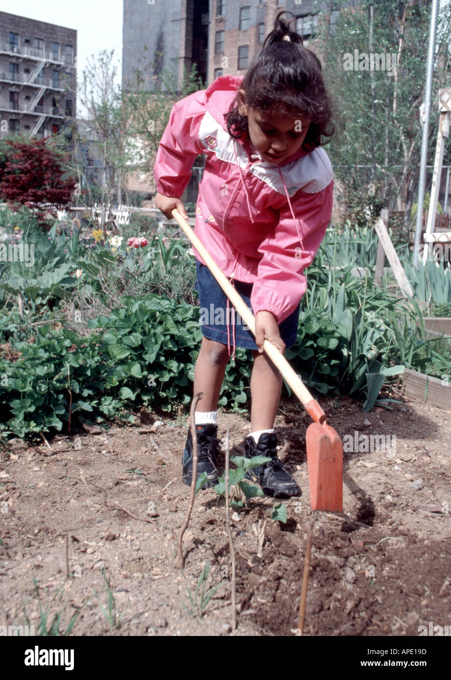 An Hispanic child turns over soil in a plot in a Lower East Side ...