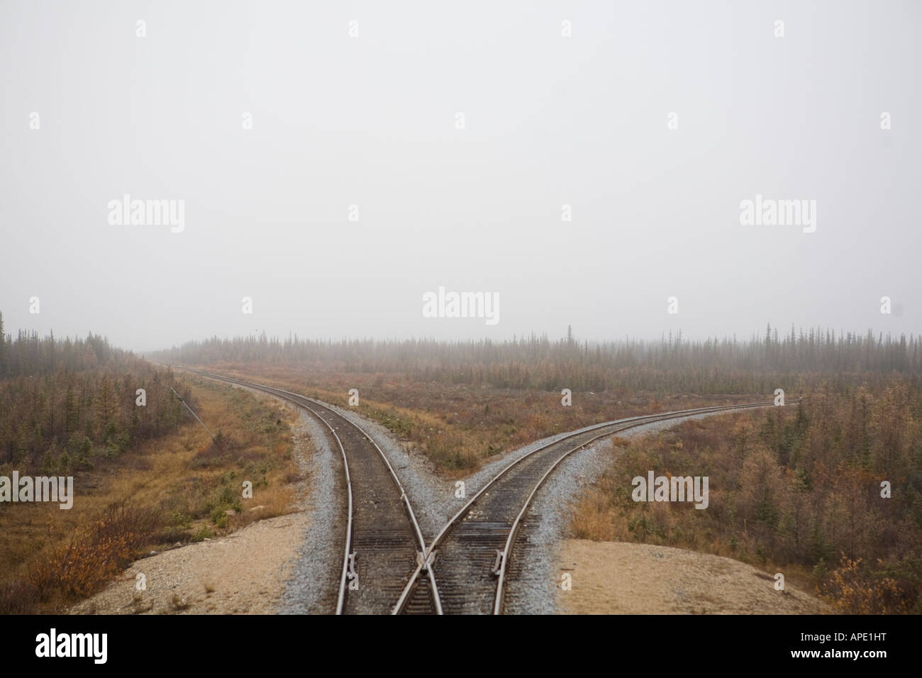 A train track runs through the boreal forest on a foggy day Stock Photo ...