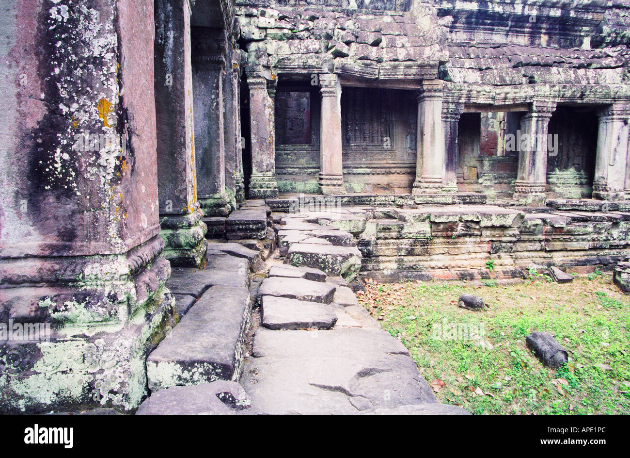 Intricate inner structure hi-res stock photography and images - Alamy