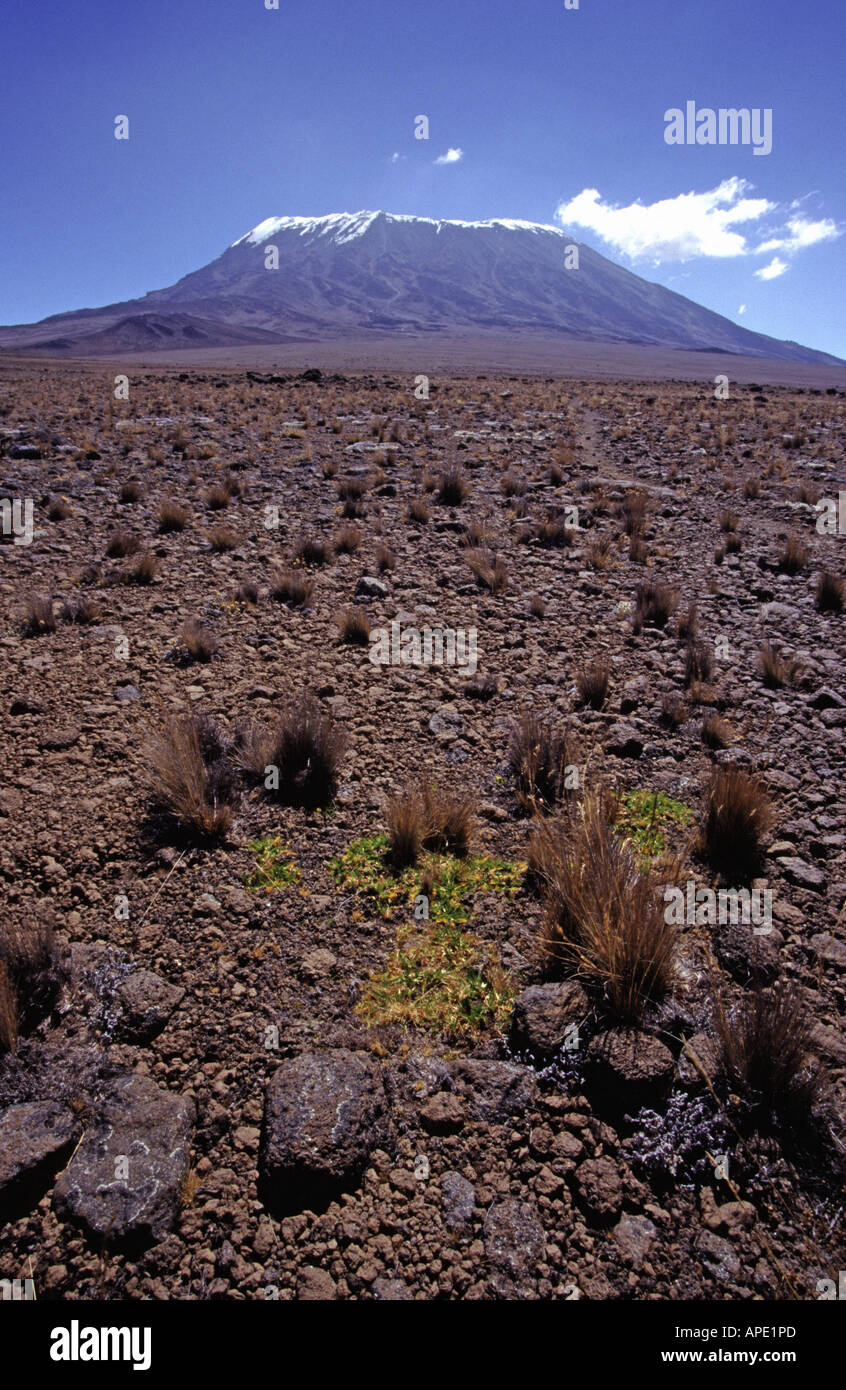 View of snow capped Mount Kilimanjaro in Tanzania Stock Photo - Alamy