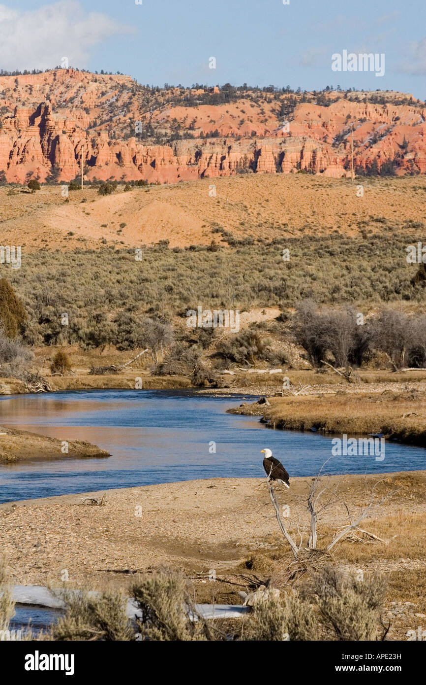 A desert scene in Utah Stock Photo - Alamy