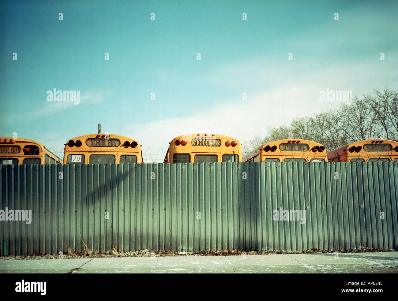 School bus parking lot Stock Photo - Alamy