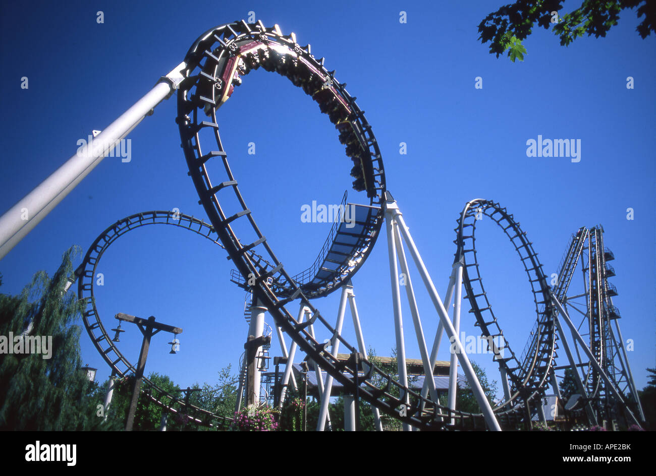 Sidewinder Roller Coaster