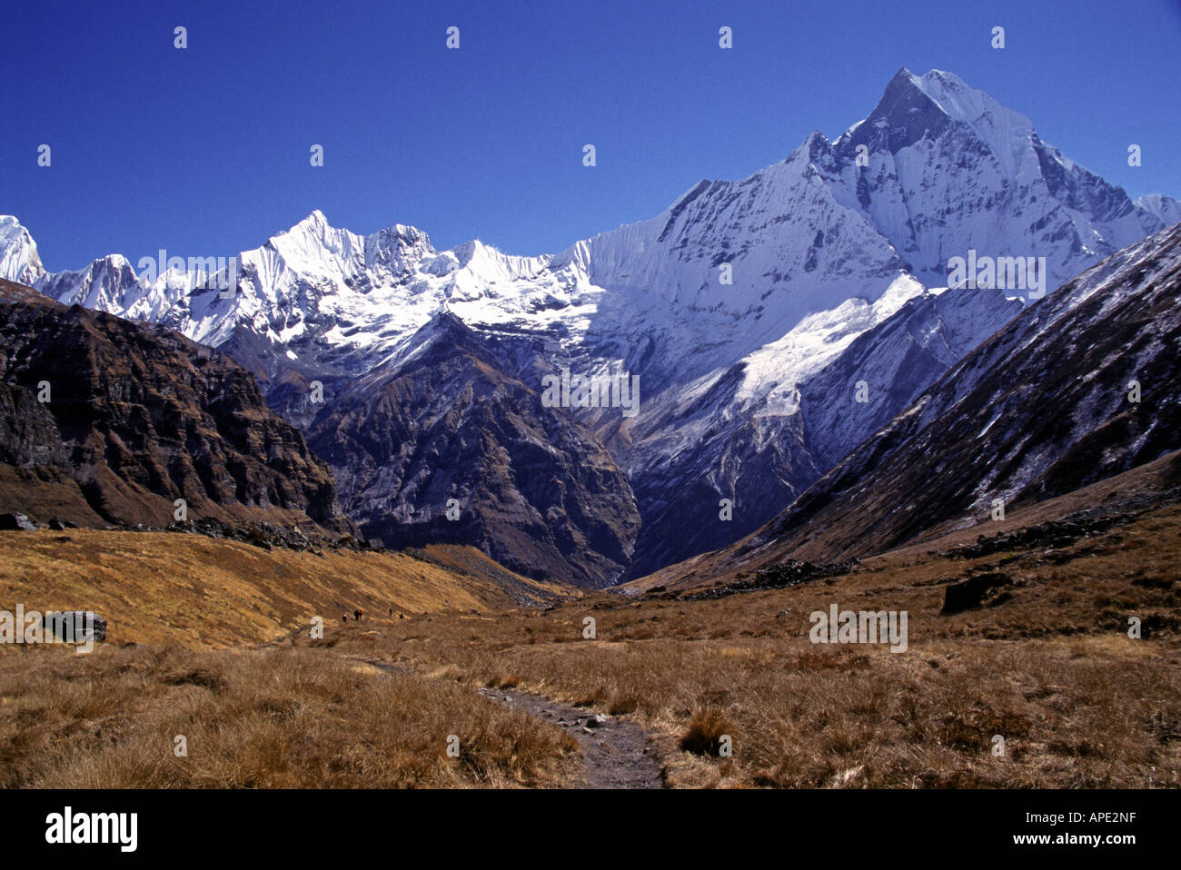 Machhapuchhare base camp hi-res stock photography and images - Alamy