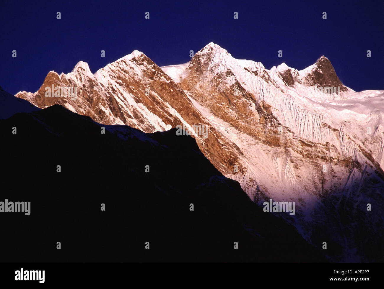 Early morning view of Fang 7647m in the Annapurna Sanctuary Nepal Stock ...